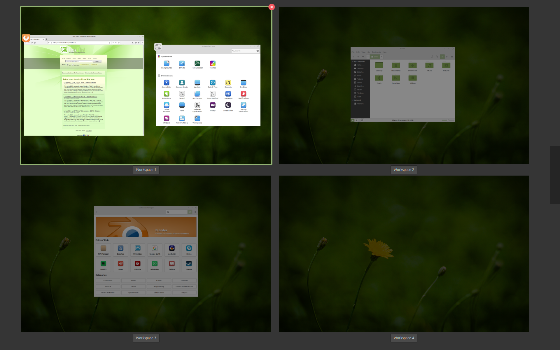 Screenshots - Linux Mint